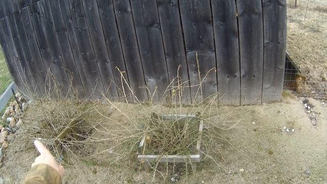 Деревня. Начало сезона. Обзор. 18 апреля 2025 год.