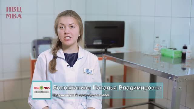 Уроки острого зрения для ваших питомцев!