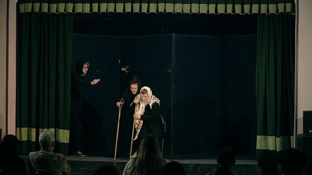 "Дикобразы в естественной среде обитания"