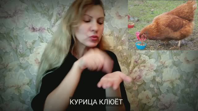 _ЧТО ДЕЛАЮТ ЖИВОТНЫЕ И ПТИЦЫ__на жестовом языке