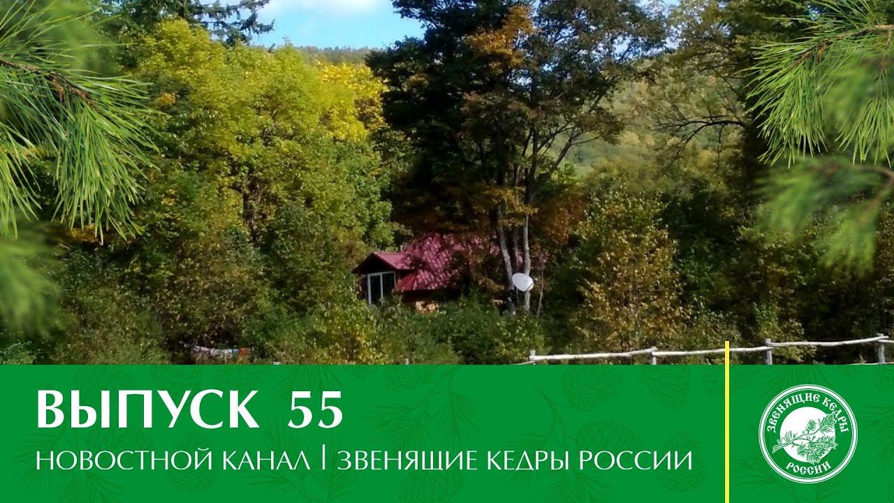 Новостной канал "Звенящие Кедры России" | Выпуск 55 от 28.04.2021