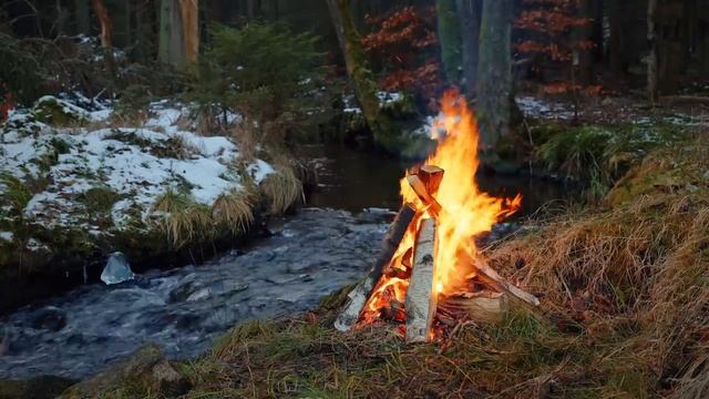 📺 Костер у реки 🔥 Лесная атмосфера и успокаивающие звуки