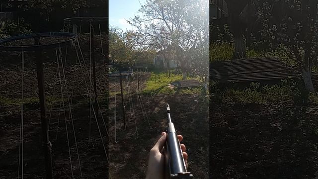 Стрельба на 30м. На сколько можно стрелять из пневматического пистолета