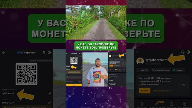Скам в арбитраже крипты с тестнетами
