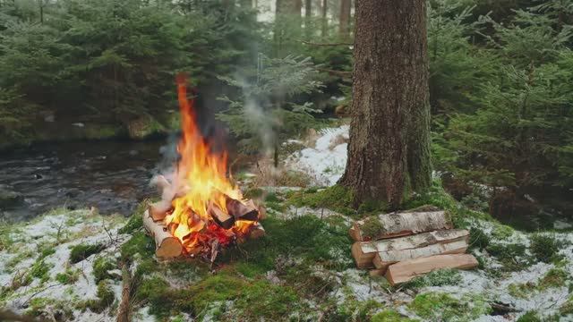 📺 Отдохните в прекрасном зимнем лесу у ручья🌲 Настоящие звуки