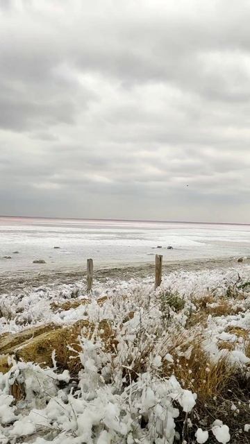 50 оттенков розового 😍. Озеро Сасык-Сиваш. Крым.
(сентябрь 2024г)