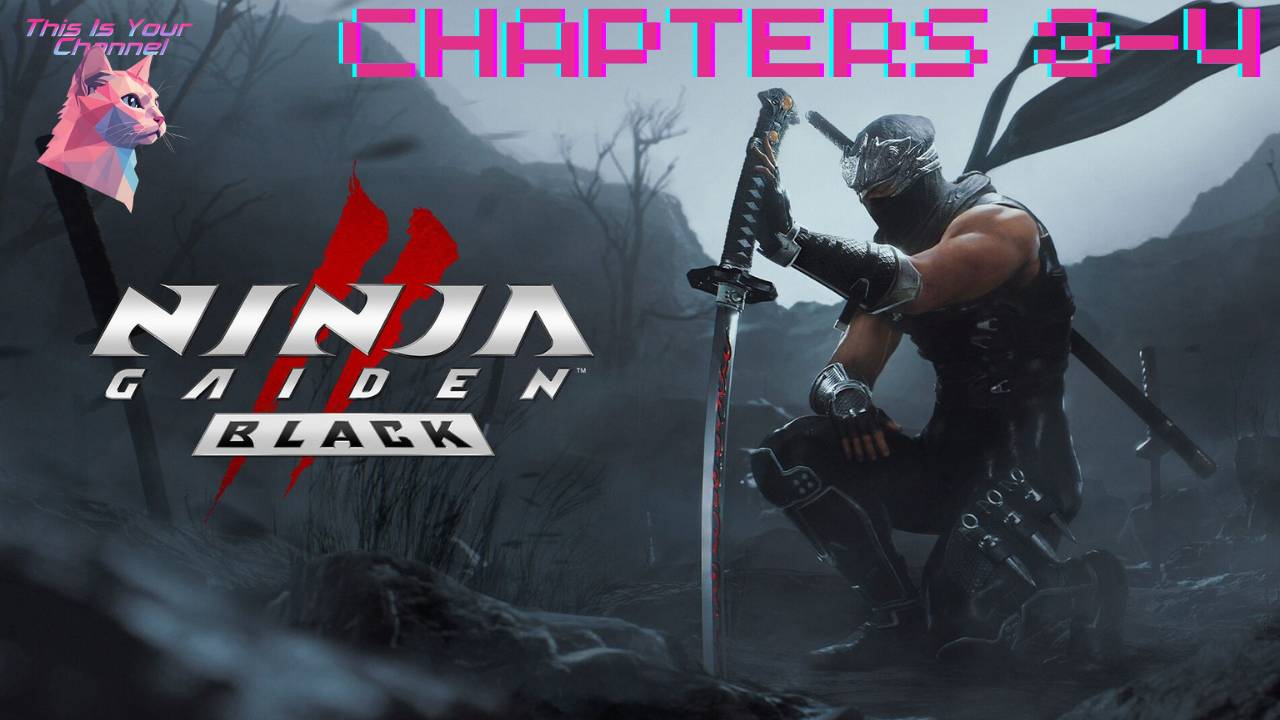 NINJA GAIDEN 2 Black Прохождение (Без комментариев) - Часть 2