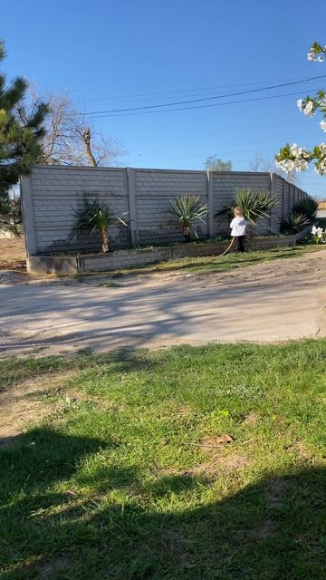 Как полить клумбу