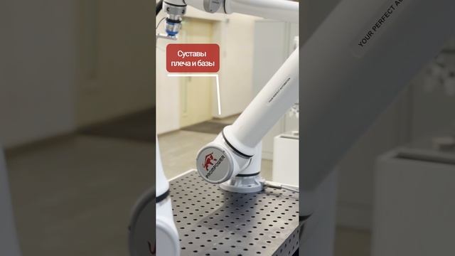 🔥Кобот 20 кг мощи, не жертвуя безопасностью!🔥