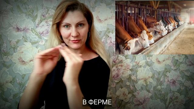 _ДОМАШНИЕ ЖИВОТНЫЕ И ПТИЦЫ_ на жестовом языке