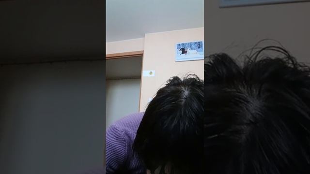 крокодил Гена и его друзья-глава 7.