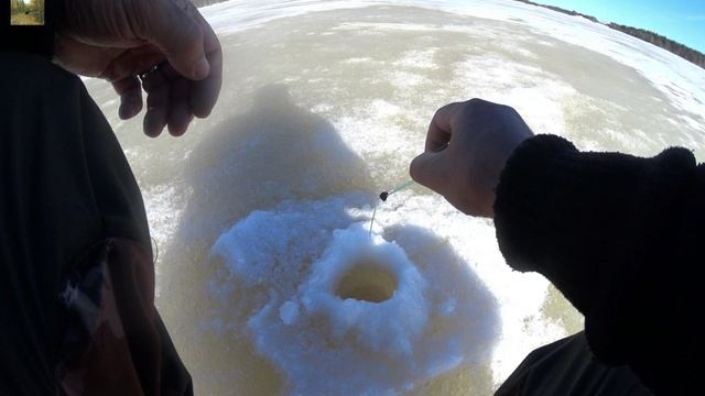 Рыбалка 30 марта,с супругой.