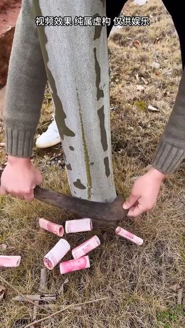 ВОТ ТАКОЕ ДОЛЖНО БЫТЬ ДЕНЕЖНОЕ ДЕРЕВО