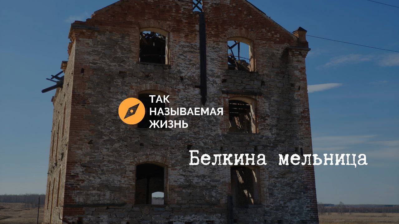Так называемая жизнь: Белкина мельница