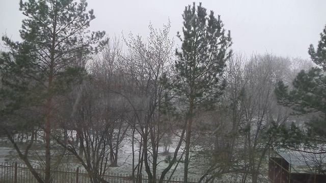 НА  ЗАПАДНУЮ СИБИРЬ НАДВИГАЕТСЯ  МОРОЗ КАК СПАСТИ КЛУБНИКУ