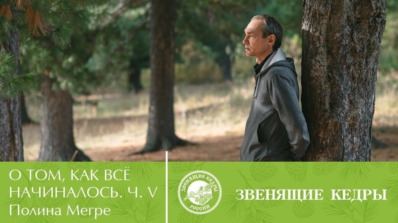 Истории о компании "Звенящие Кедры" с Полиной Мегре. ч. V