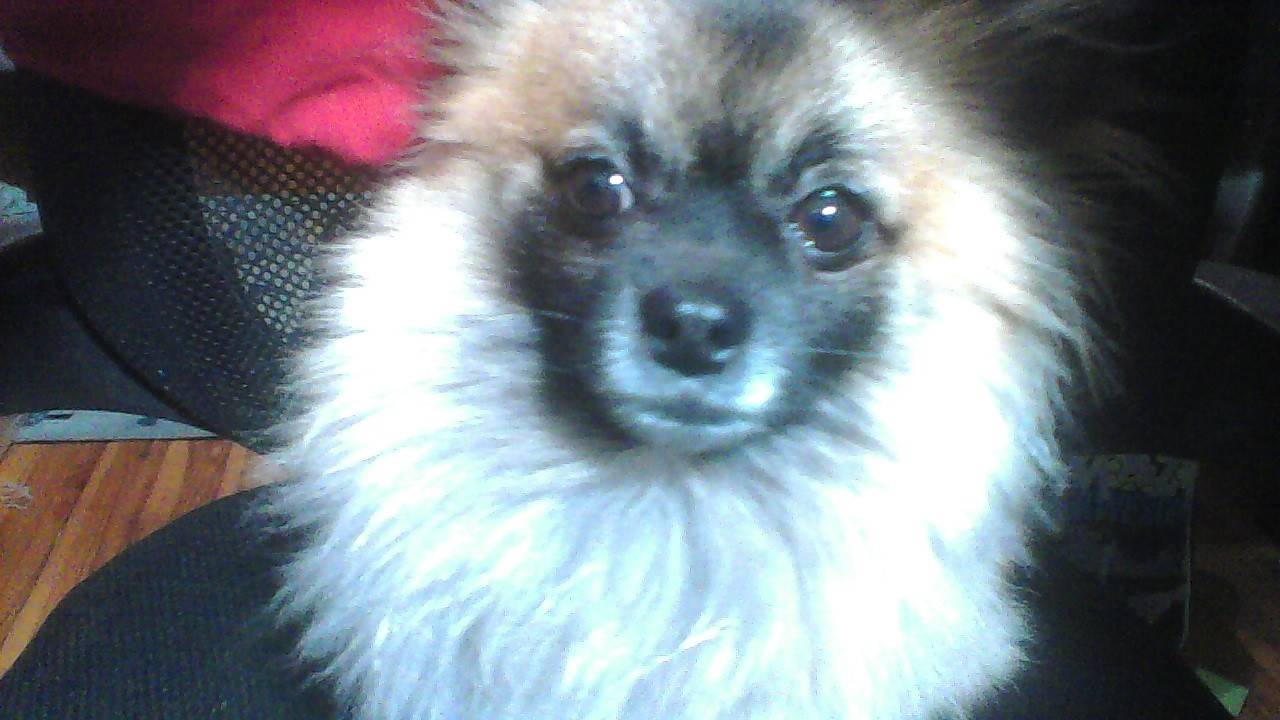 ✅выживание на 1 блоке в МАЙНКРАФТЕ 4 ЧАСТЬ!!!