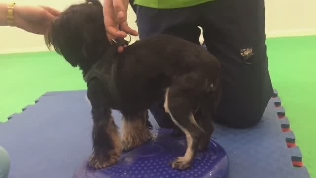 Терапевтические упражнения