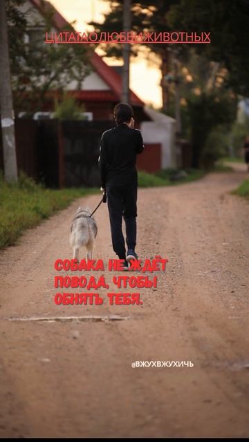 Любов Собаки #shorts