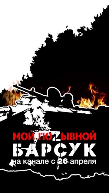 МОЙ ПОZЫВНОЙ БАРСУК SHORTS ПОДРЫВ