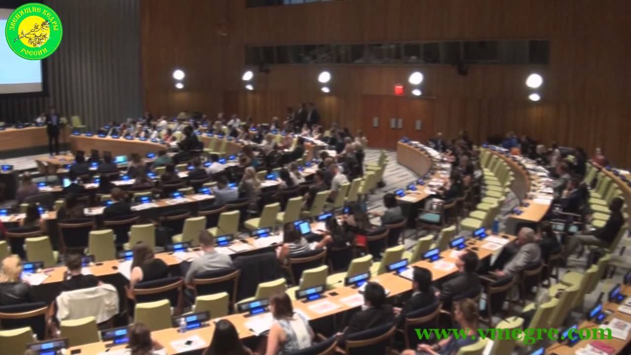 Второй день на Всемирном молодежном саммите Nexus Global Youth Summit 2015