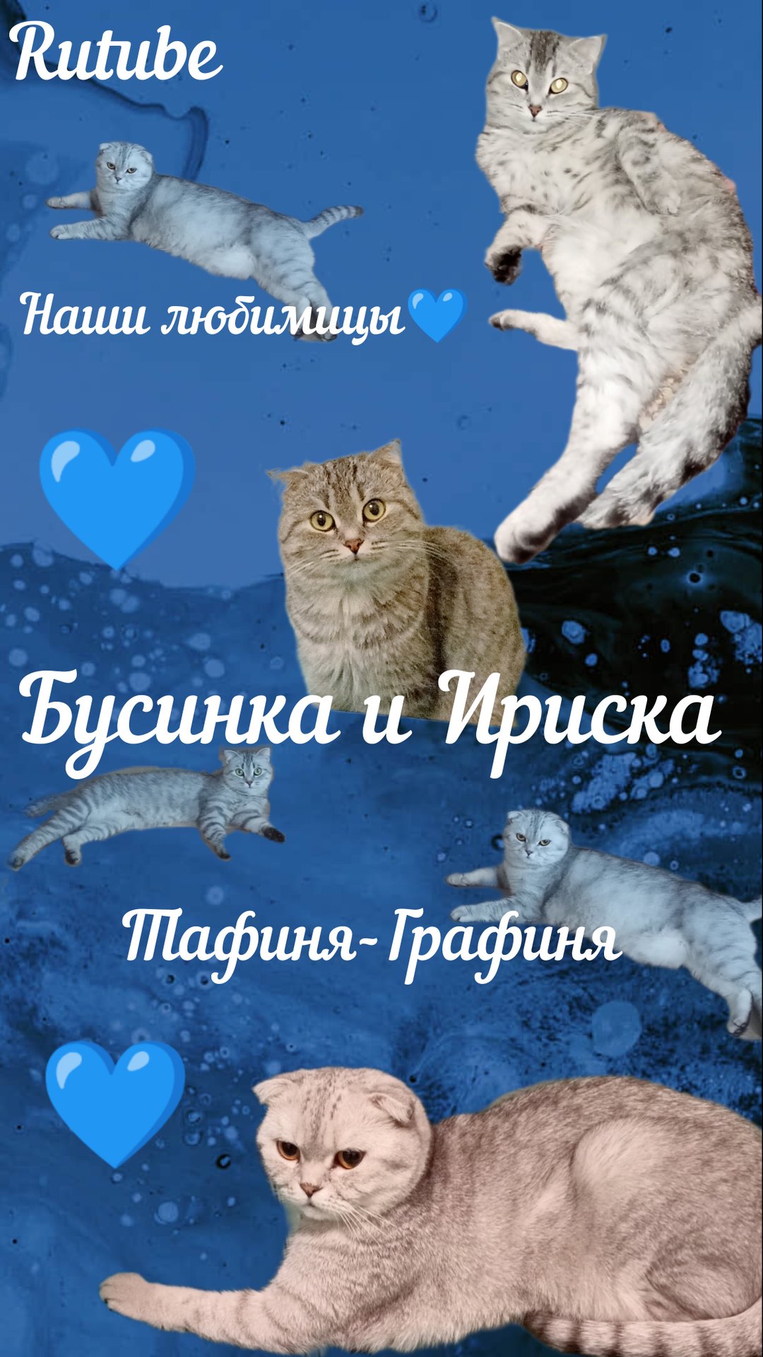 😻Крепкого здоровья вам и вашим питомцам😻