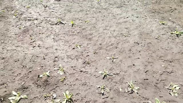 Два дня пыток, или неудачное продолжение добуривания скважины под 125 обсадную трубу!