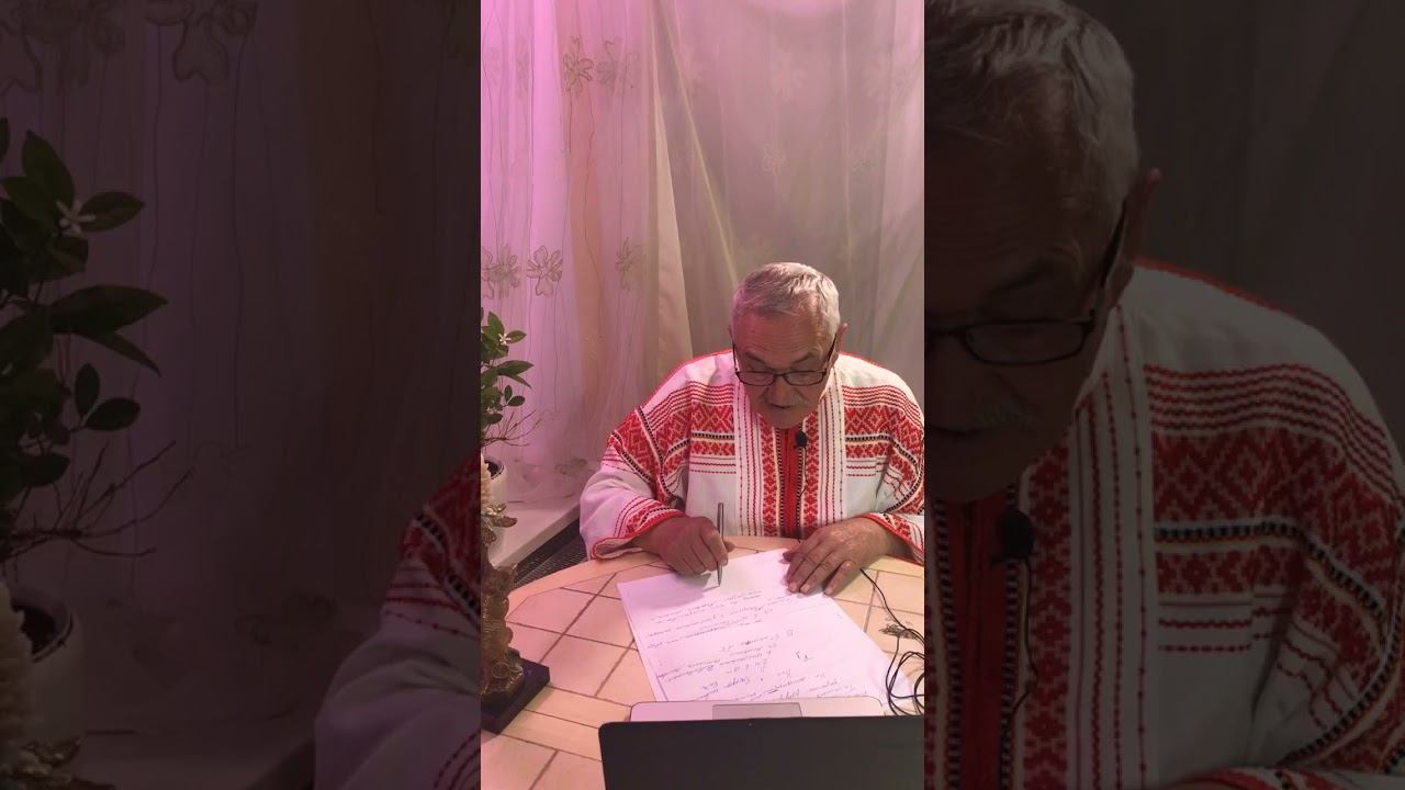 Международный телемост с Владимиром Мегре