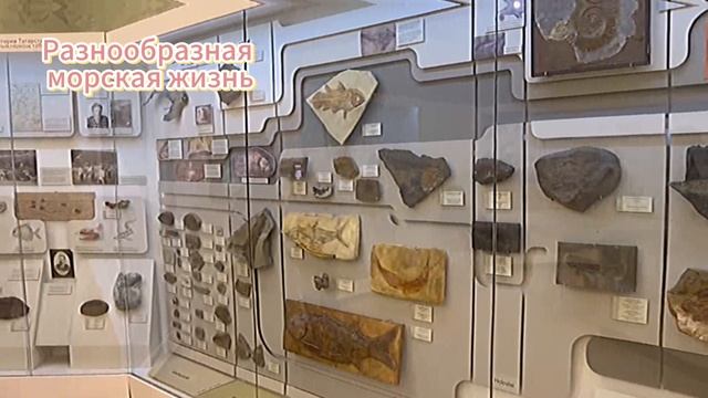 Экскурсия по Геологическому музею