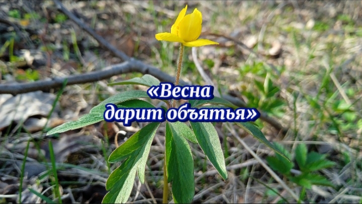 Песня "Весна дарит объятья"