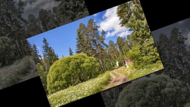 Memories (A Tribute To Dream Dance)  19