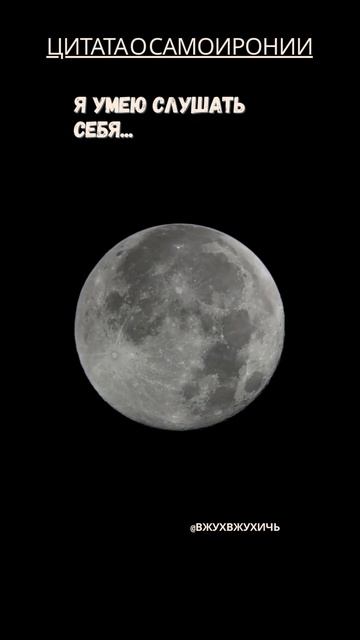 Кусочек  Цитата о самоиронии #shorts