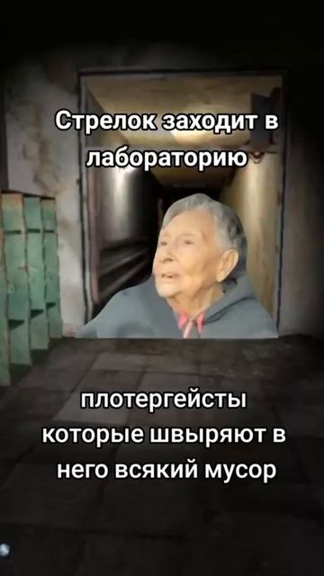 малый мем по сталкеру #stalker