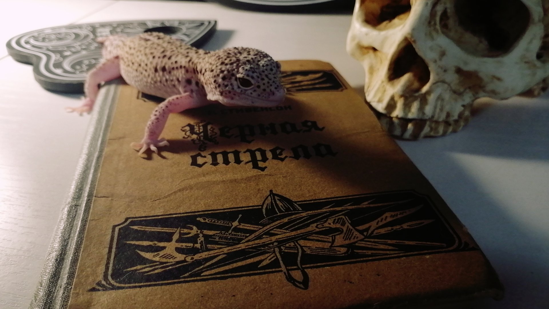 5. "Чёрная стрела" 🏹 Роберт Стивенсон. Глава 4. Молодцы из зелёного леса.