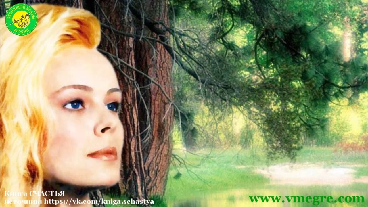 Читательская конференция Владимир Мегре в Нью Йорке 2016 г.