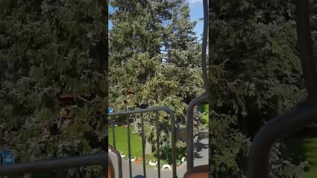 Поход в ДИВО ОСТРОВ Санкт-Петербург 18.08.2021