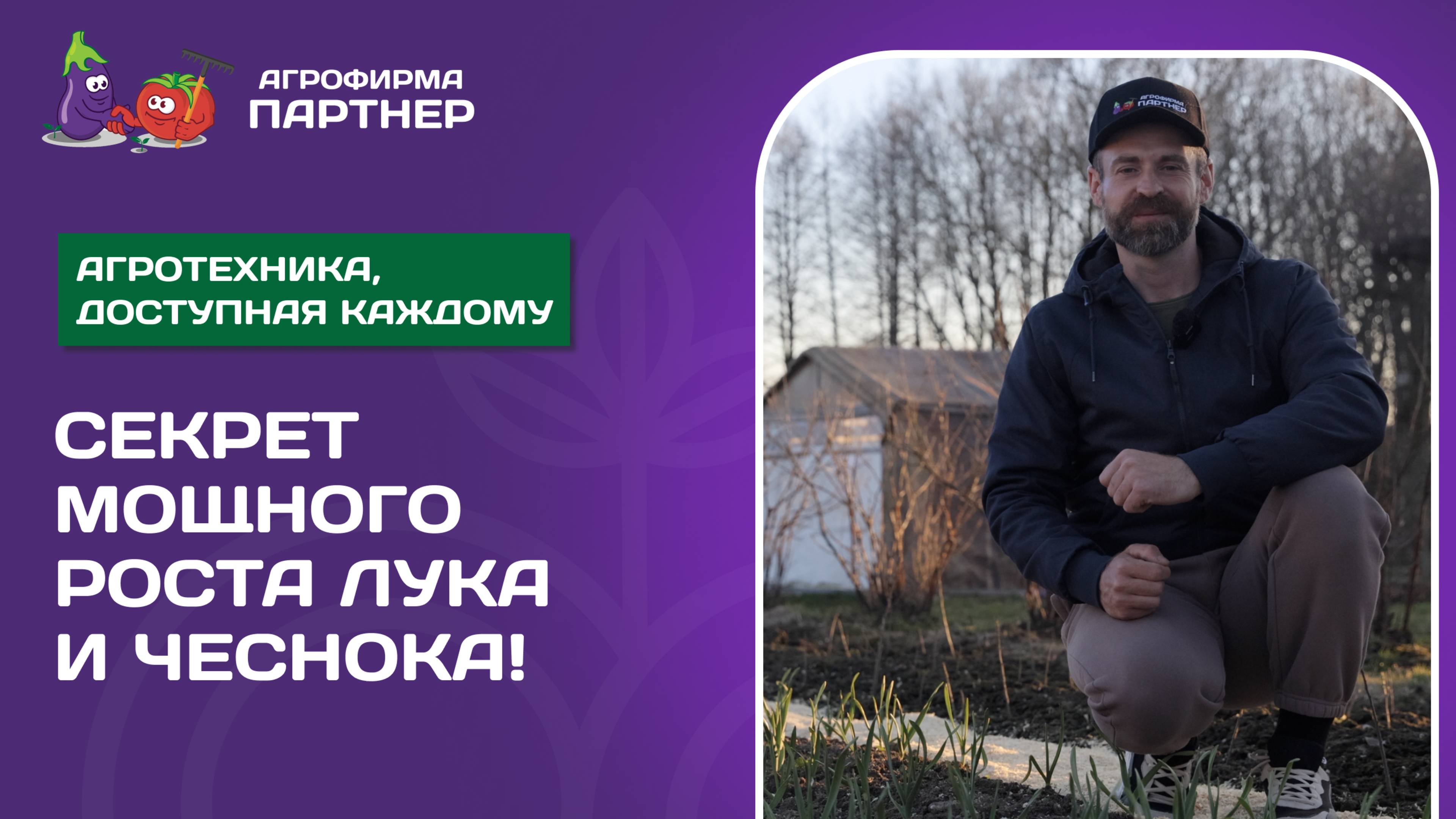 ПРАВИЛА ПРИ ПОДКОРМКЕ ЛУКА И ЧЕСНОКА