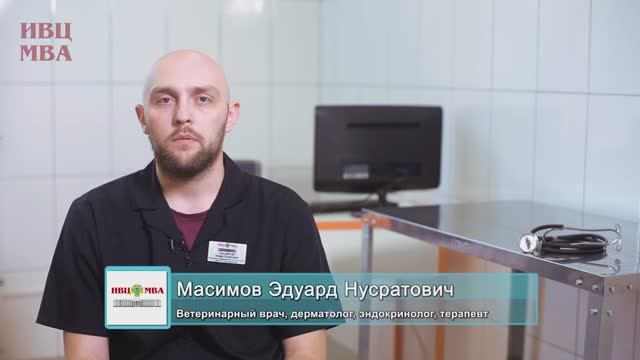 5 звезд и все включено для вашего животного! Зоогостиница для любимых питомцев.