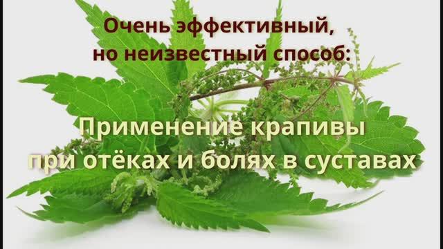О крапиве (Часть 1)