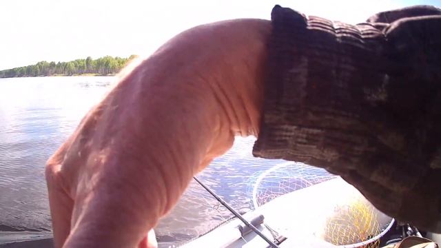 Проверил. Воблеры косят щук. И не только.