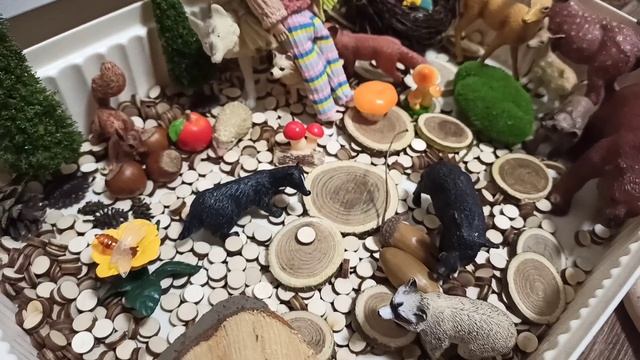 Сенсорная коробка "Лесные жители"