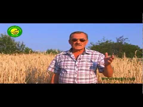 Vladimir Megre wishes you a Happy Earth Day!