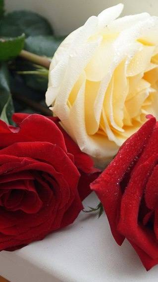 Прогулка по реке.