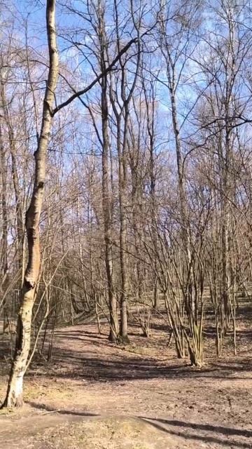 Весенняя акварель