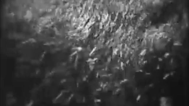 Валентина Бархатова: женское лицо подвига