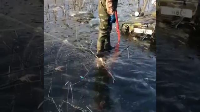 Ледовое побоище  - тульская версия)