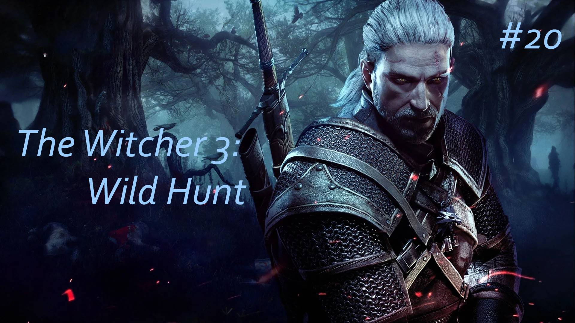 The Witcher 3: Wild Hunt/ Король нищих / part 20