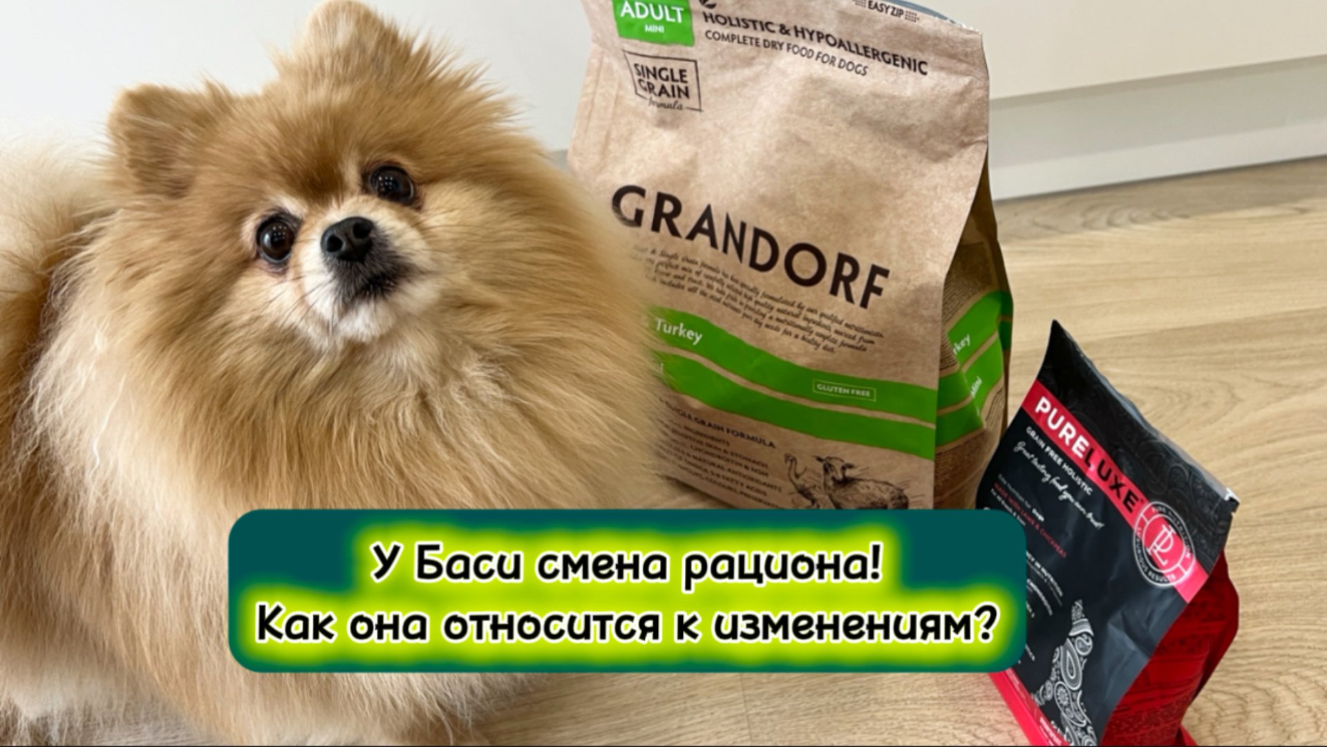 У Баси смена рациона! Как она относится к изменениям?