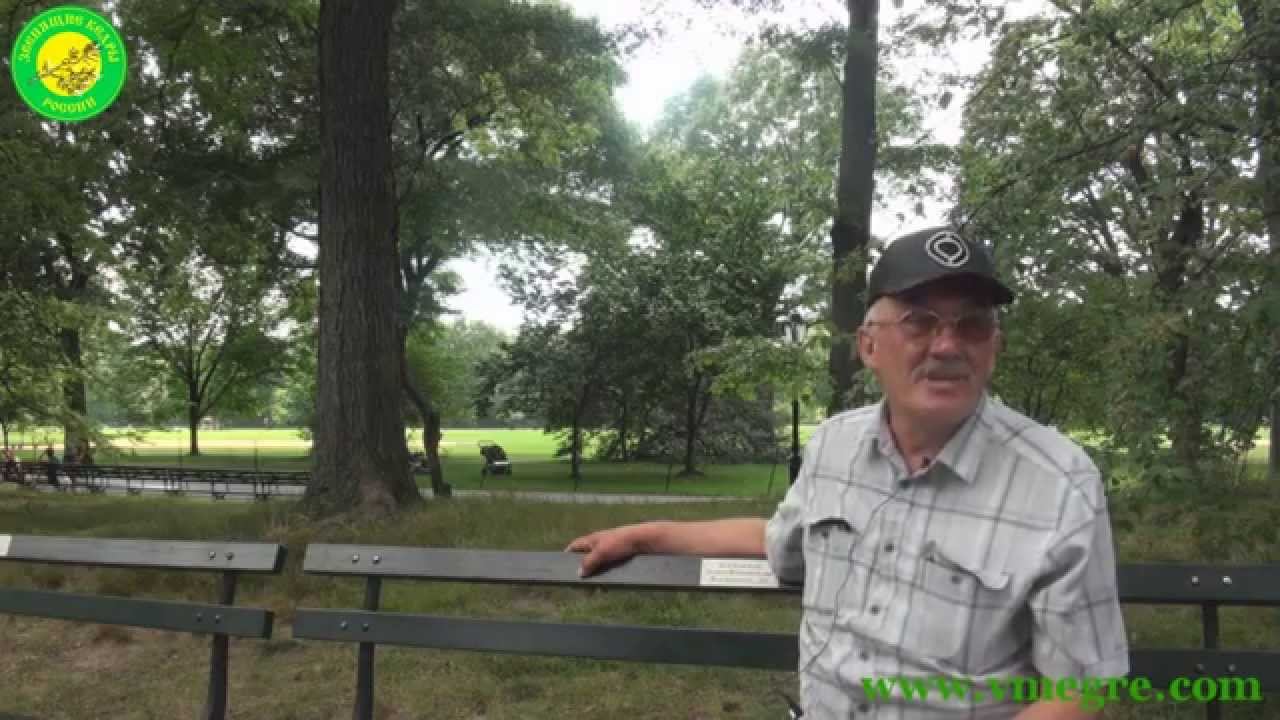 Из Нью Йорка поздравления от Владимира Мегре с Днем Земли! #23июляДеньЗемли