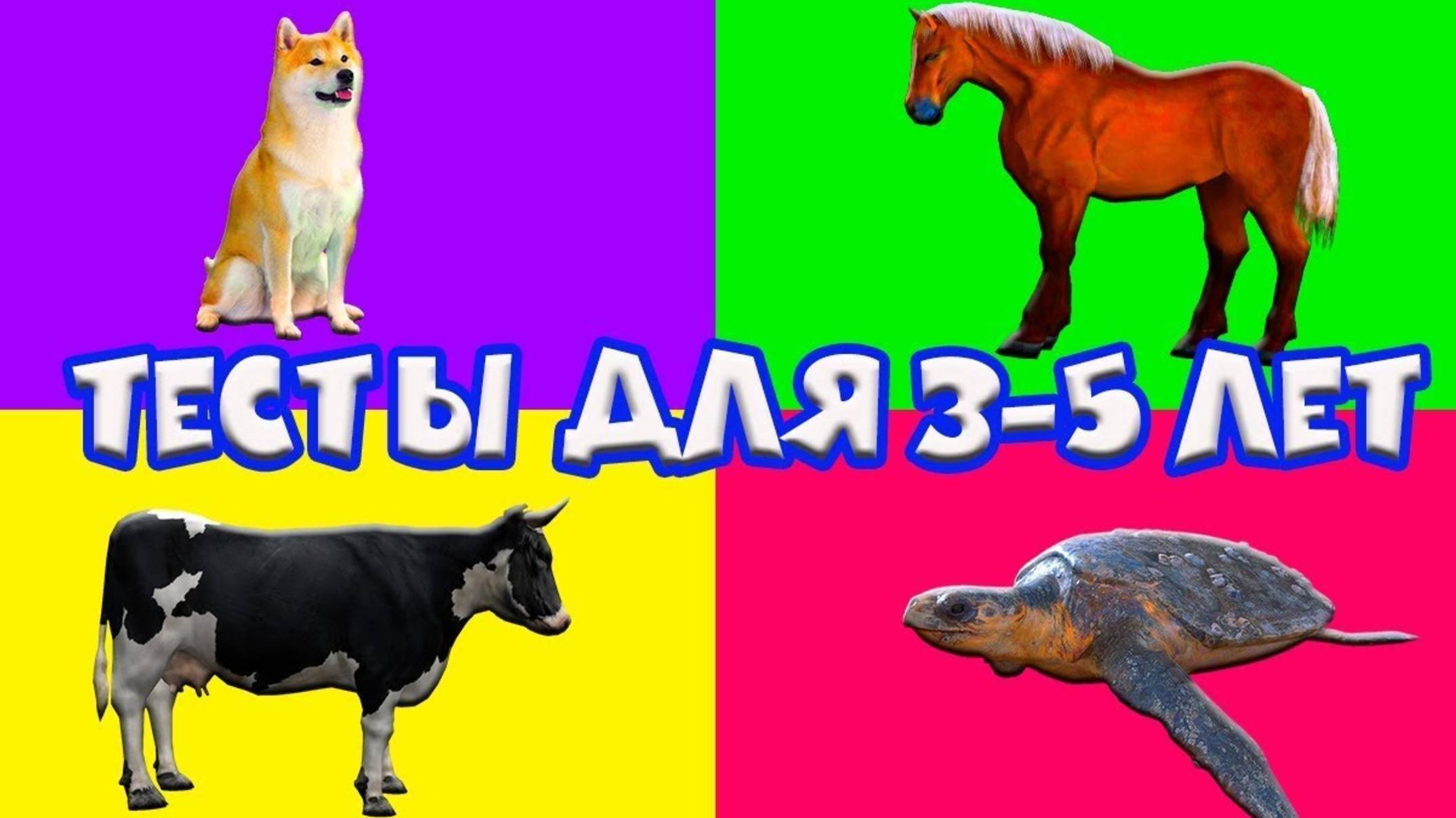 Викторина Тесты для детей. Развивающие мультики про животных для детей